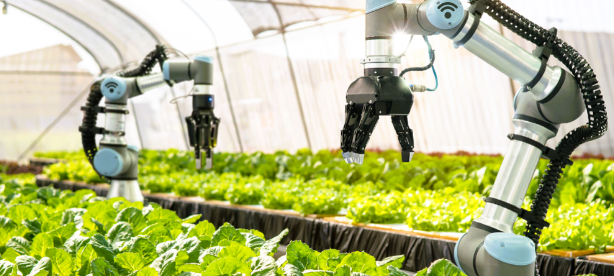 China to Boost Punjab's Agriculture with Robotic Technology - The Neutral