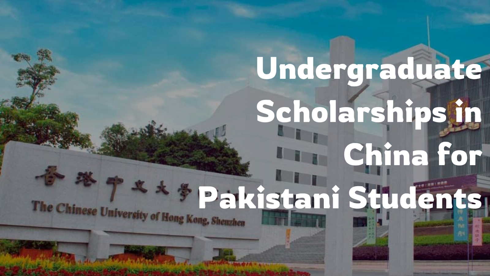 20+ Fully Funded Undergraduate Scholarships for Pakistani Students 2025 ...