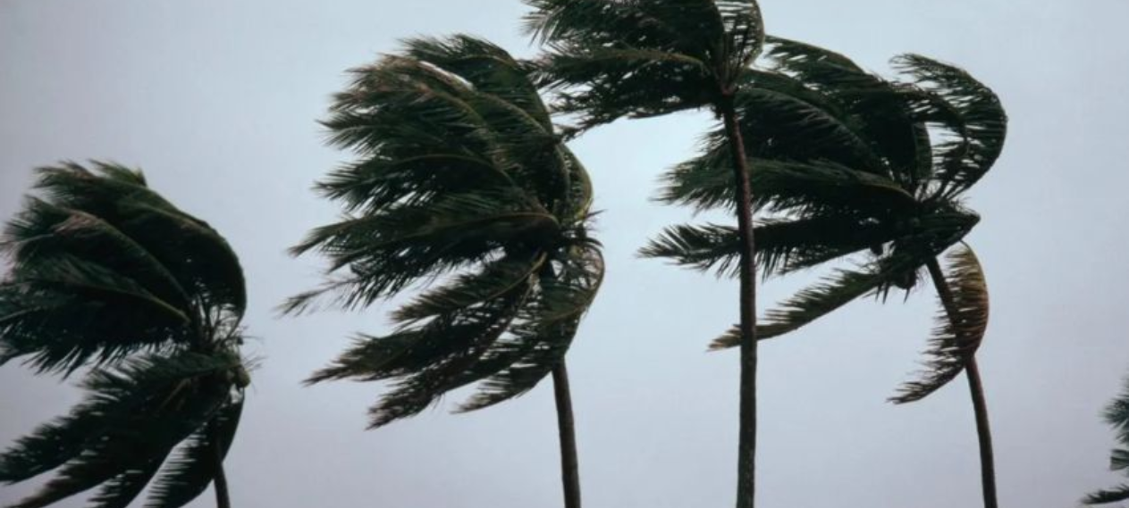 Karachi to Experience Drop in Temperature as Cold Winds Return - The ...