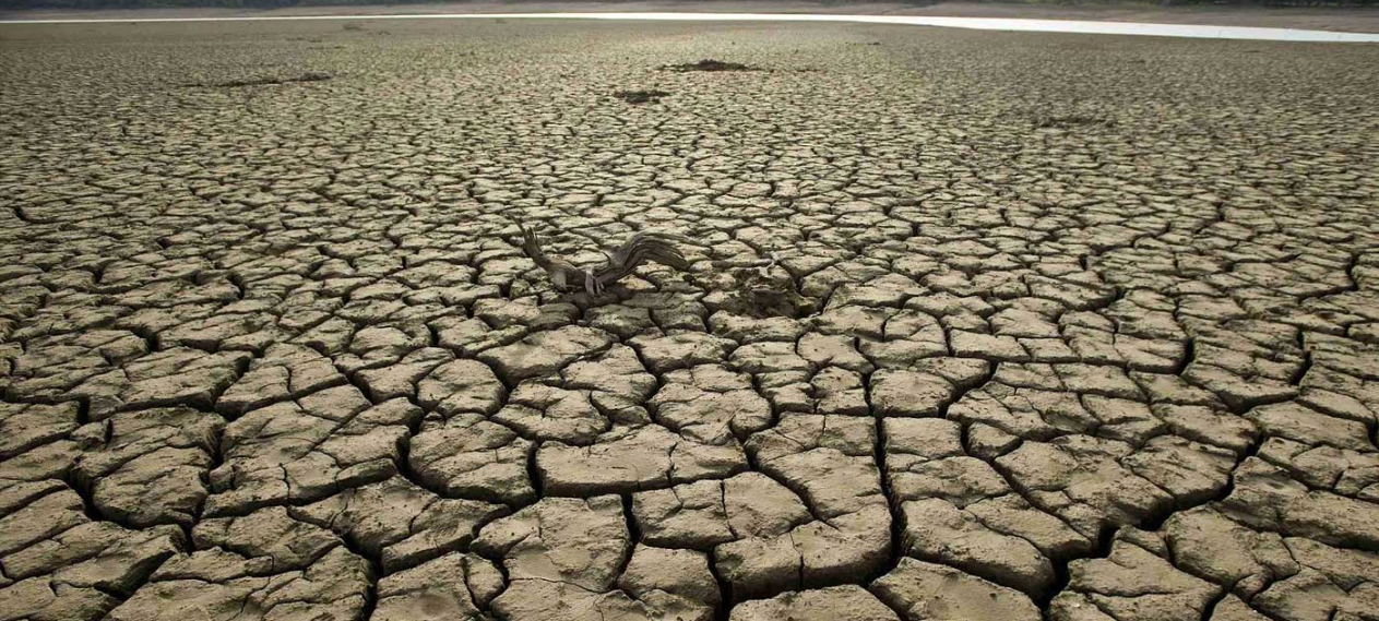 Pakistan Faces Growing Drought Risk Amid Reduced Rainfall - The Neutral