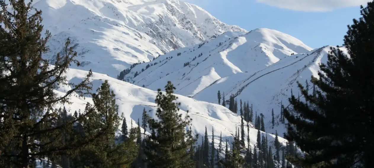 Shogran Valley Transformed by Fresh Snowfall, Boosting Tourism - The ...