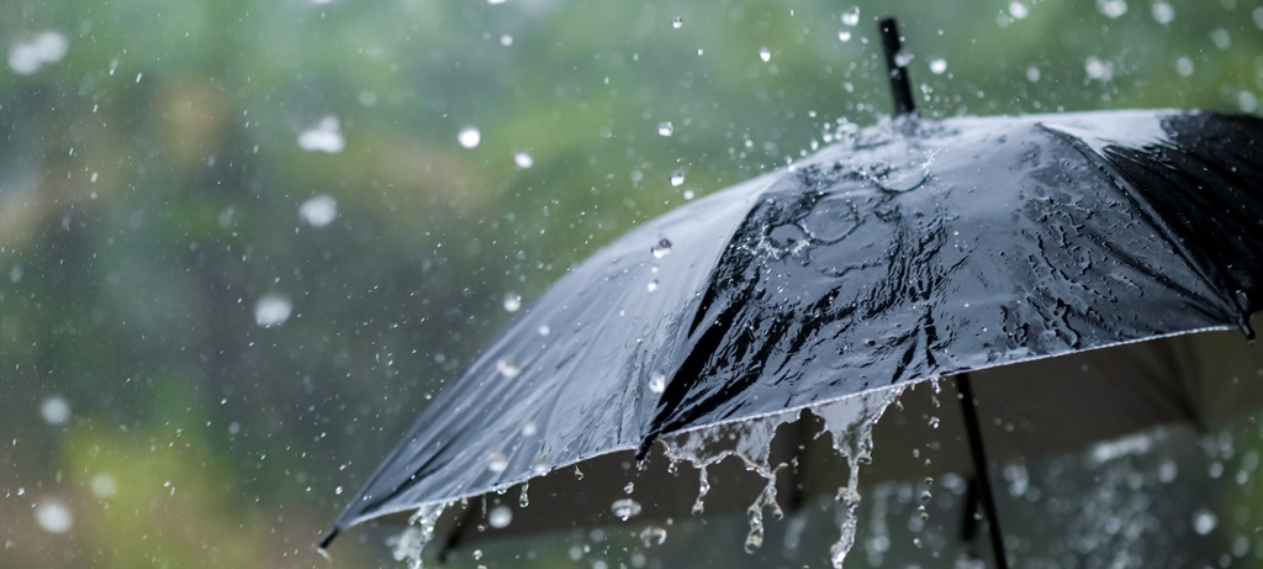 2025 Monsoon Forecast Shows Variable Rainfall Across Pakistan - The Neutral