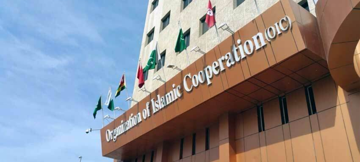 OIC Holds Workshop on Water Use Management for Agriculture in Member ...
