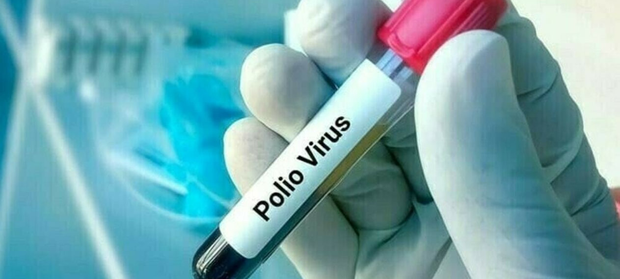 Wild Poliovirus Detected in Seven More Districts, Raising Alarm for ...