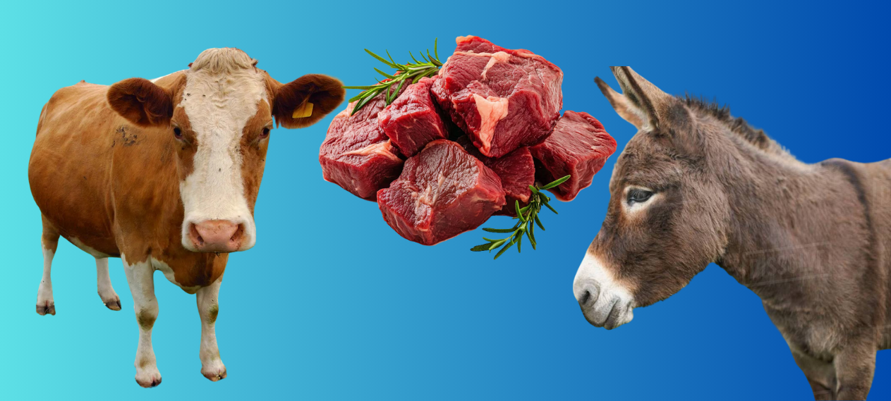 Illegal Donkey Meat Raid Raises Food Safety Concerns in Pakistan