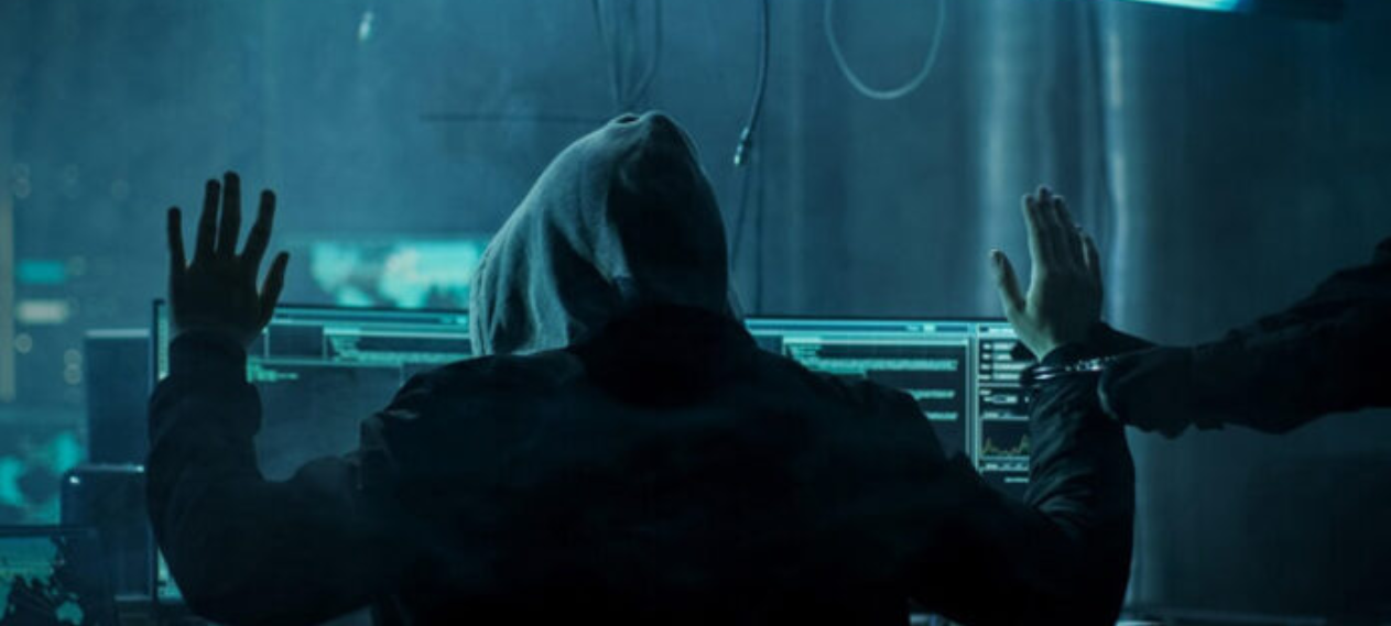 Operation Grey: NCCIA Cracks Down on Cyber Fraud Networks, 93 Arrested ...