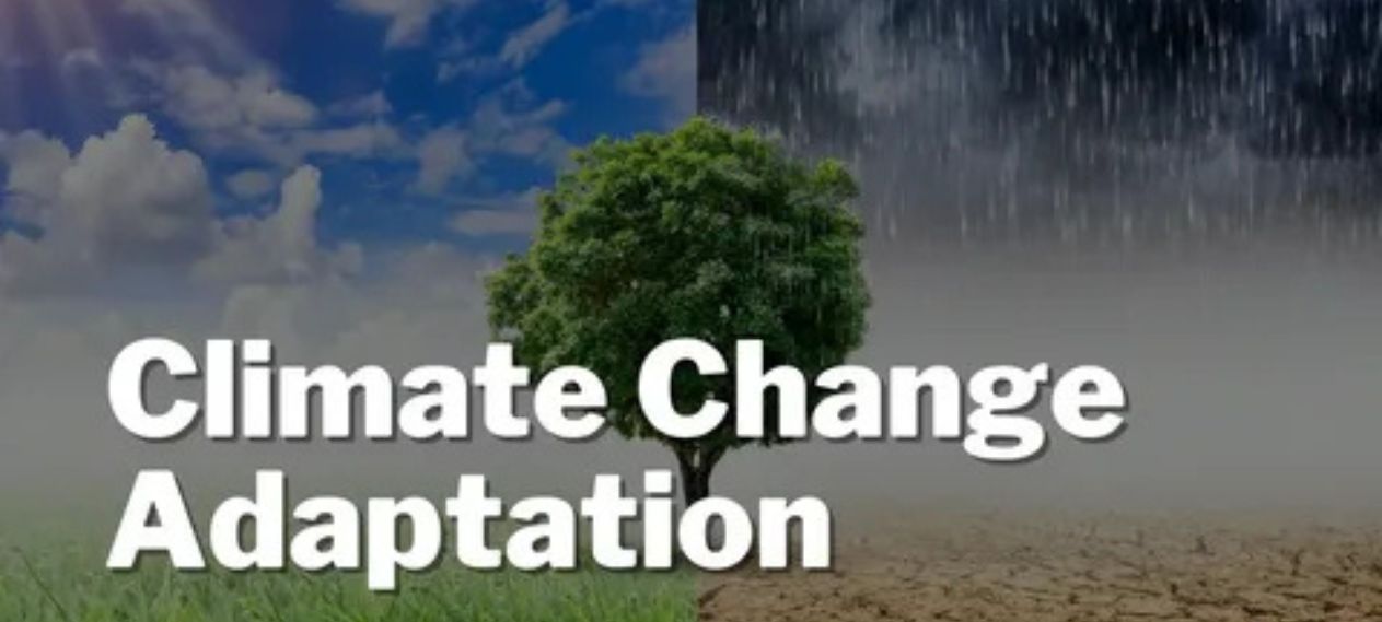 Pakistan Gains From UN Climate Adaptation Project