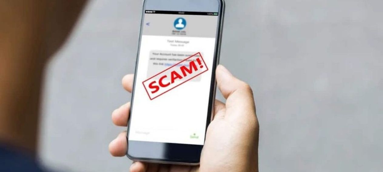 Senators Fall Victim To Major Online Fraud Scams In Pakistan
