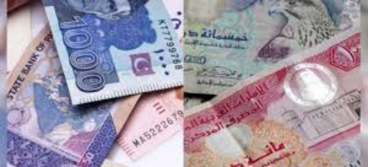 Find USD, SAR, and AED to PKR Rates Updated for 2025